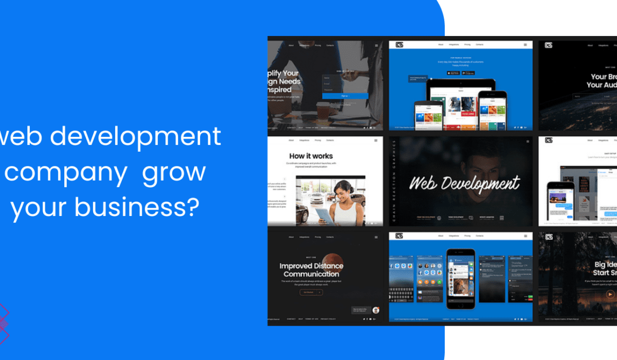 Web Application Development Services